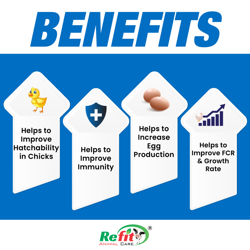 REFIT ANIMAL CARE Chicken Feed | Chicks Feed | Chick Food Fast Growth ...